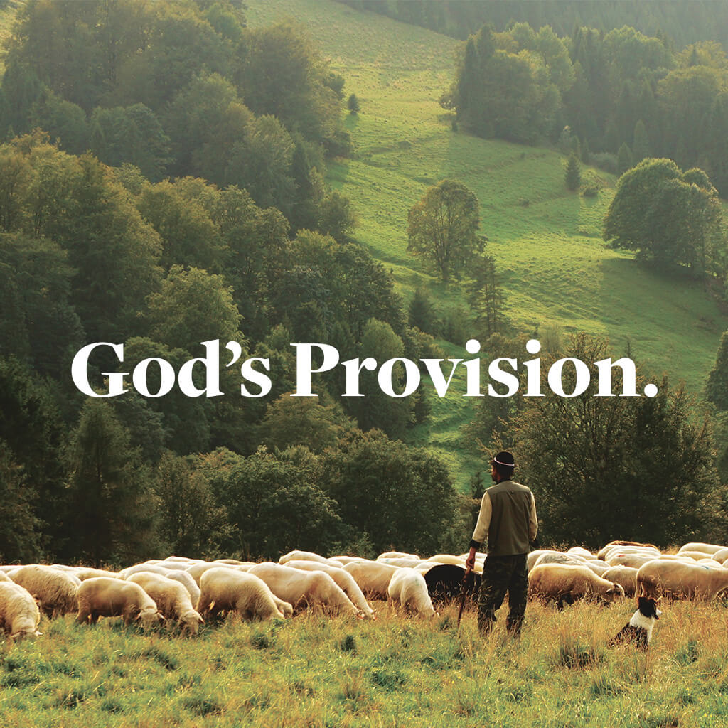 The Shepherd Provides - Back to the Bible Canada